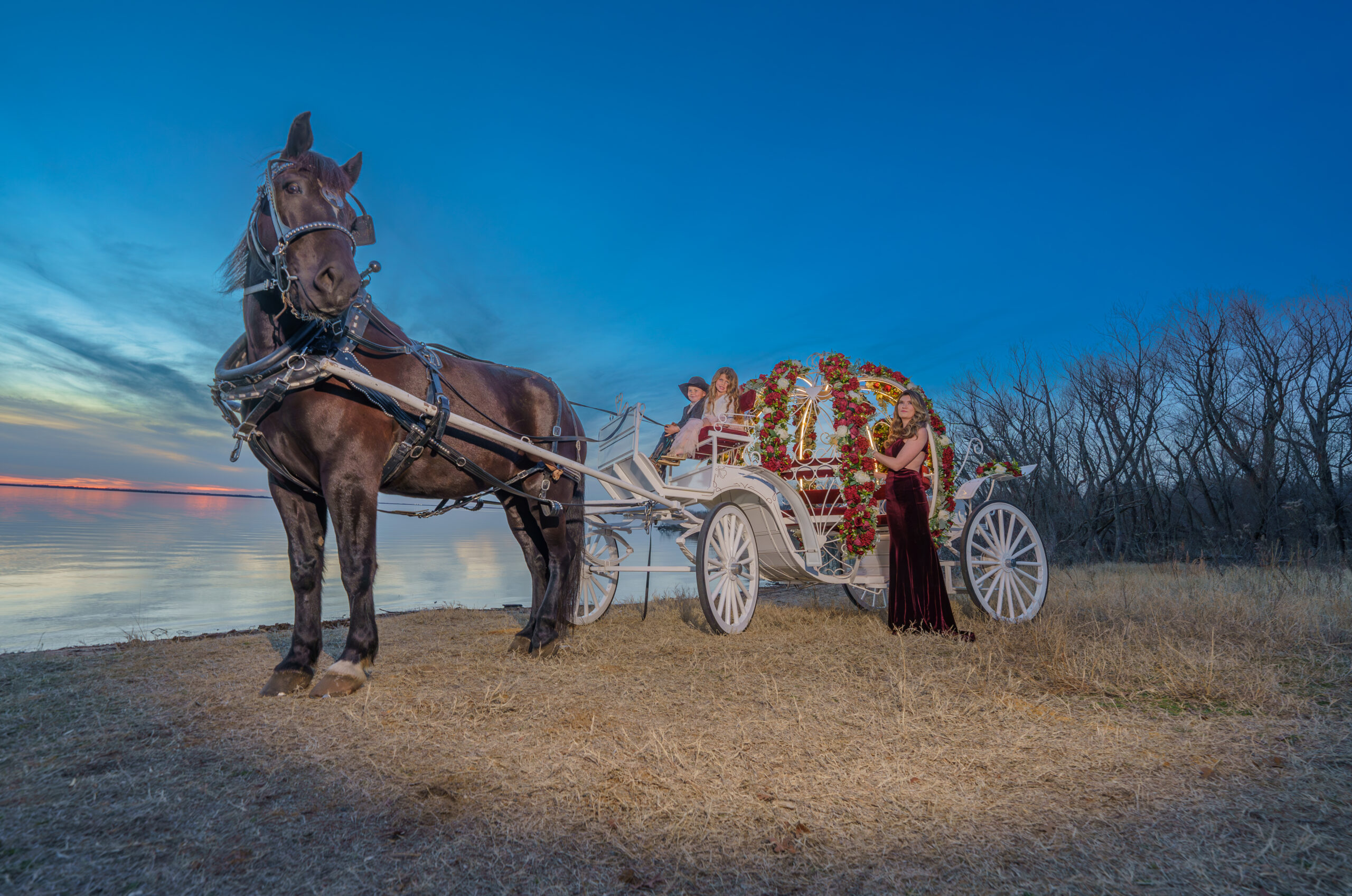 Bess | Horse and Carriage of Texas