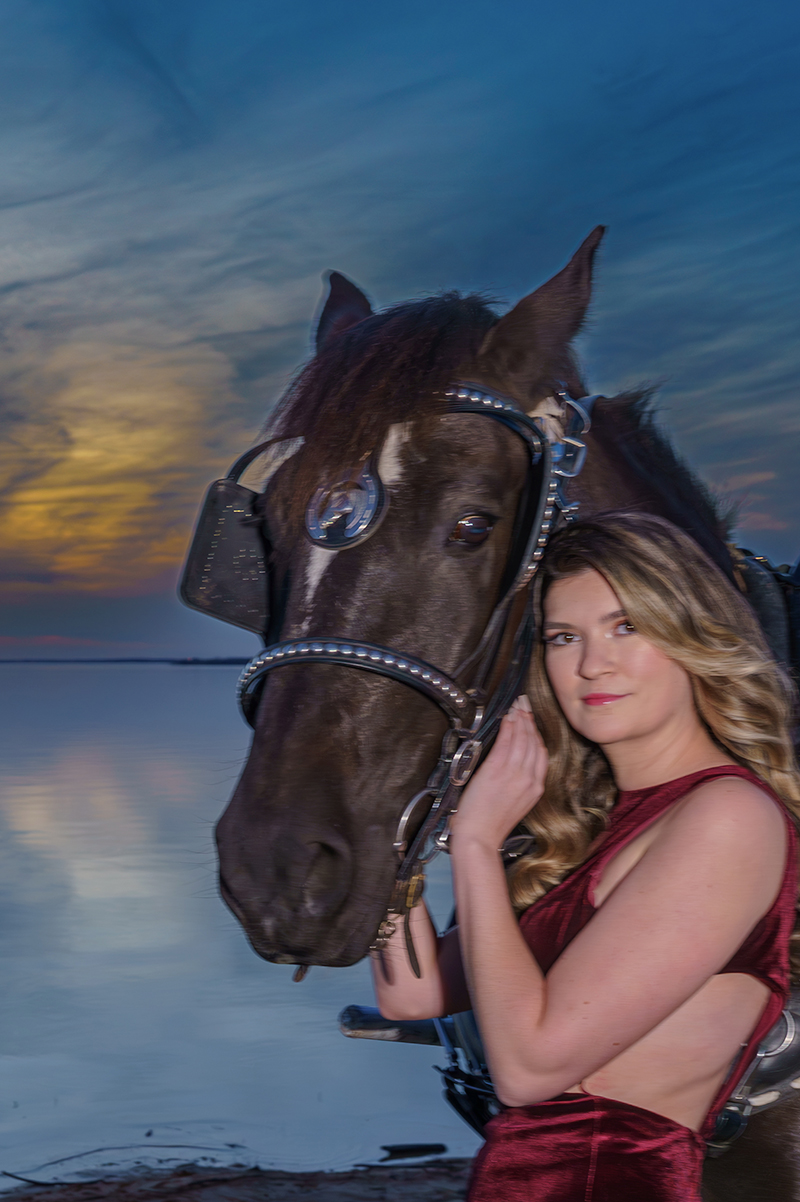 Bess | Horse and Carriage of Texas